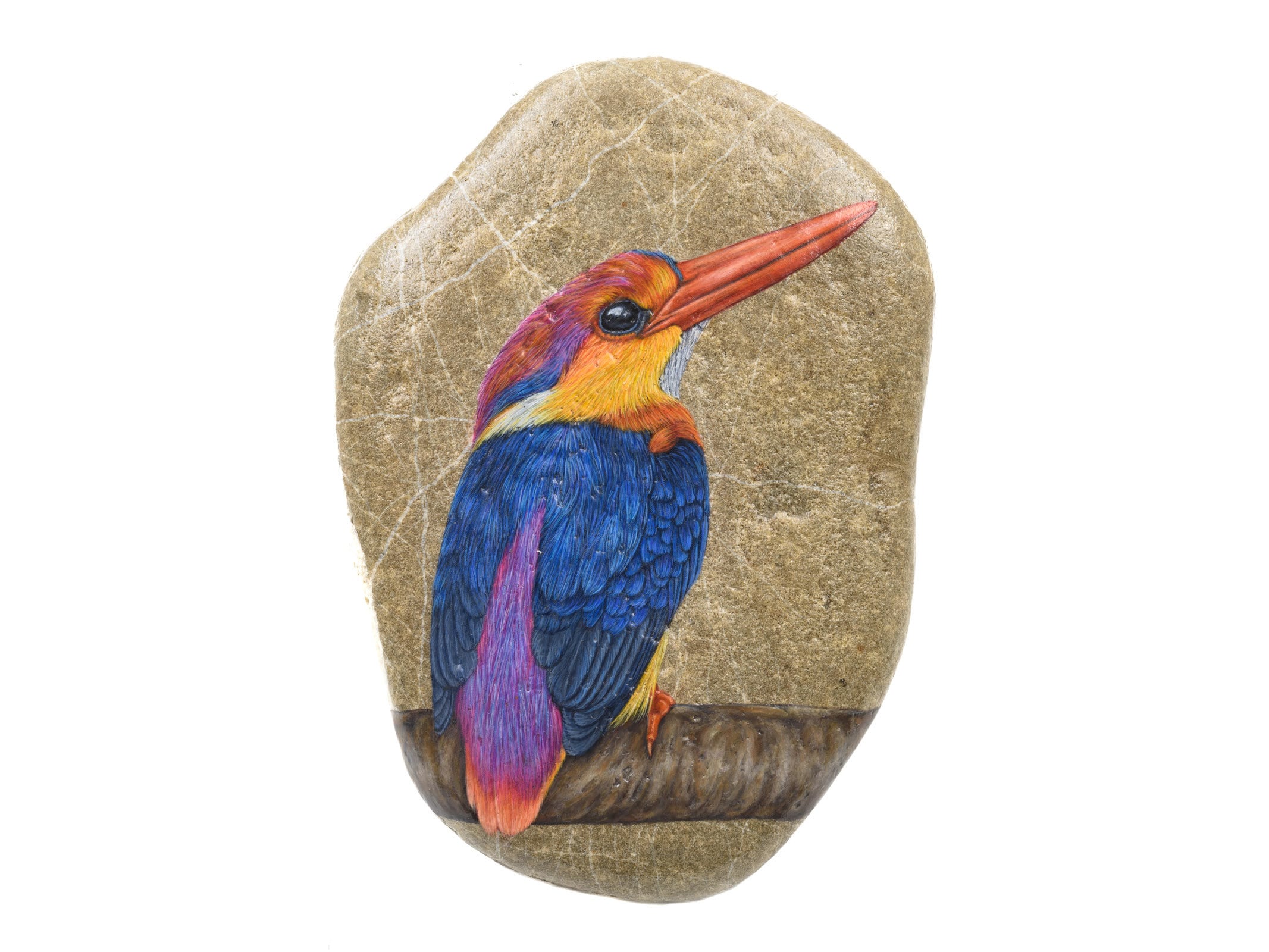 Kingfisher Art Painted Stone Rock Art Birds Painting | Etsy