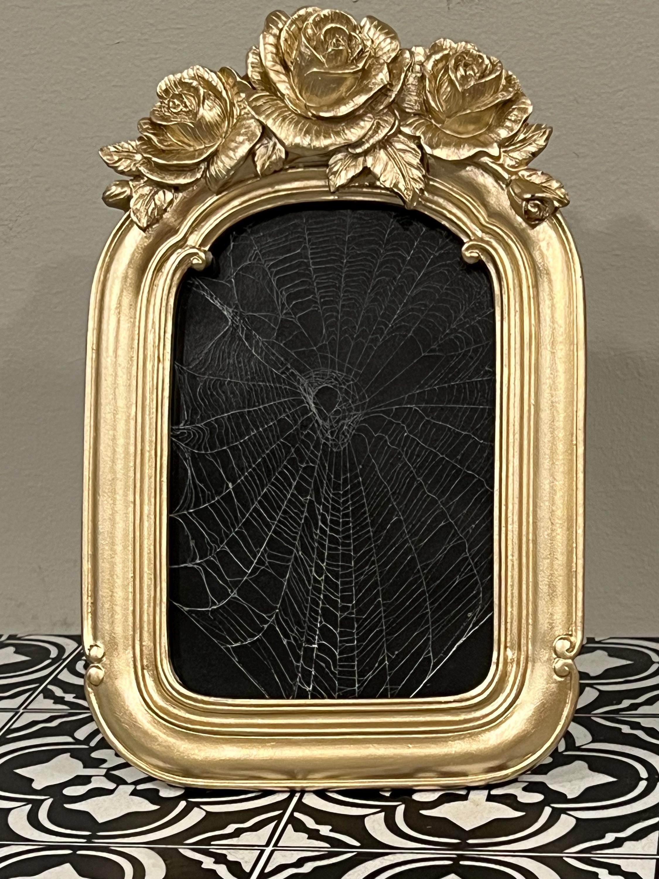 Vintage Gold Framed Spider Web Art – Authentic Preserved Web – Haunted ...