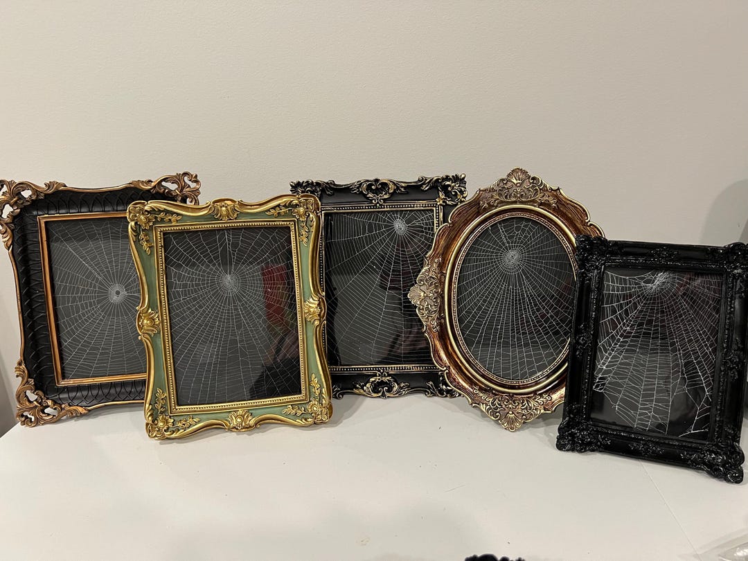 Real Preserved Spider Webs - Etsy