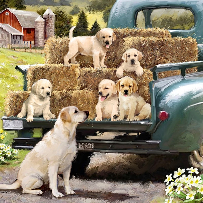 Lab Quilt Panel - Etsy