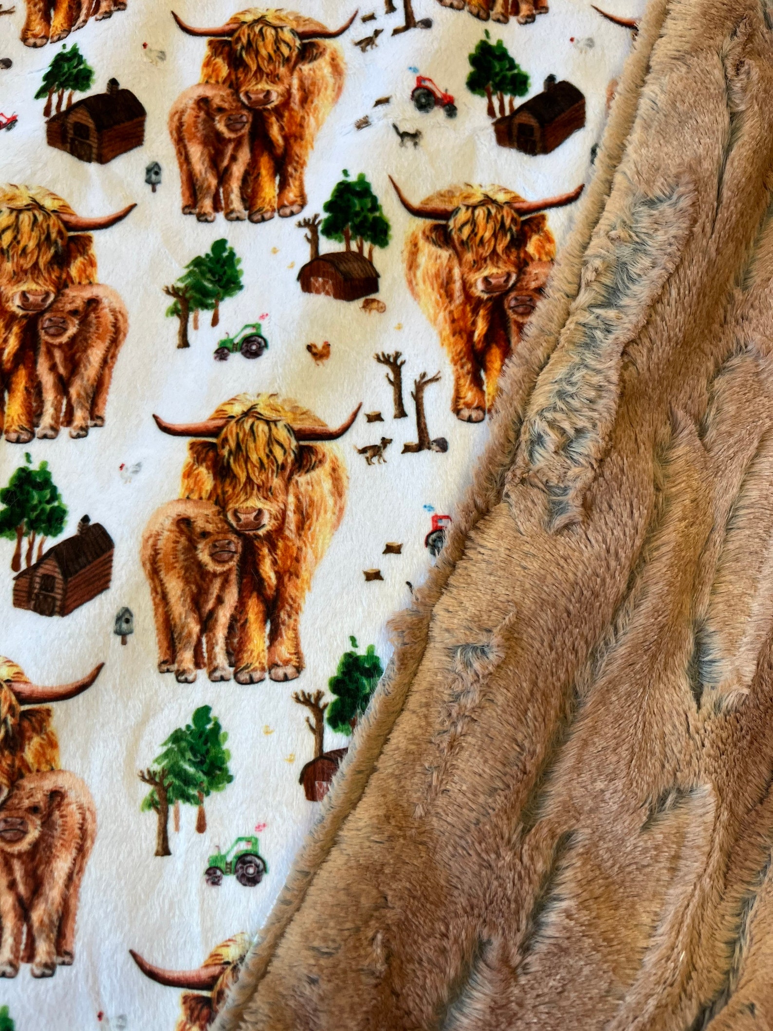 Highland Cows Blanket, Cattle, Minky Baby Boy, Cow Horns, Farm Country ...