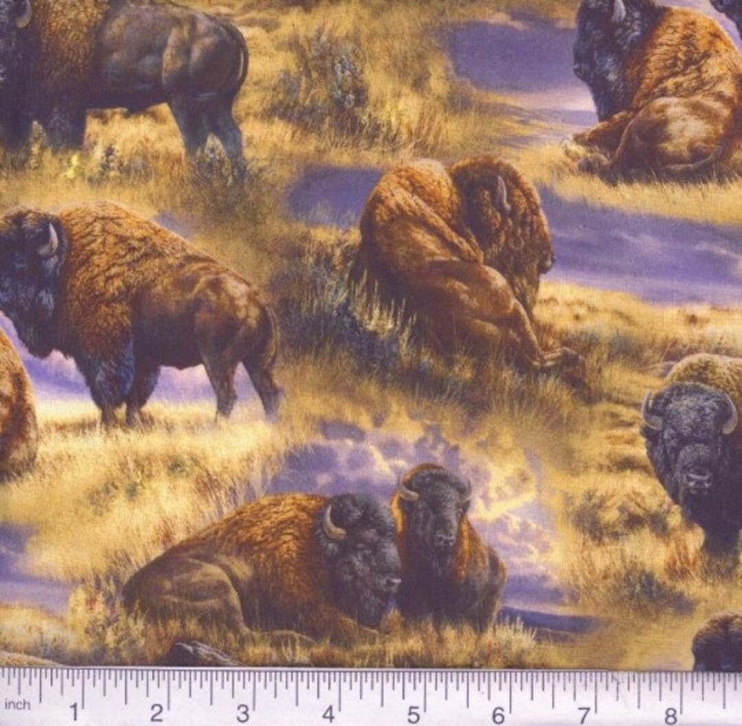 Buffalo Bison Fabric, Quilting Cotton, Range, Ranch, Southwest, Fabric ...