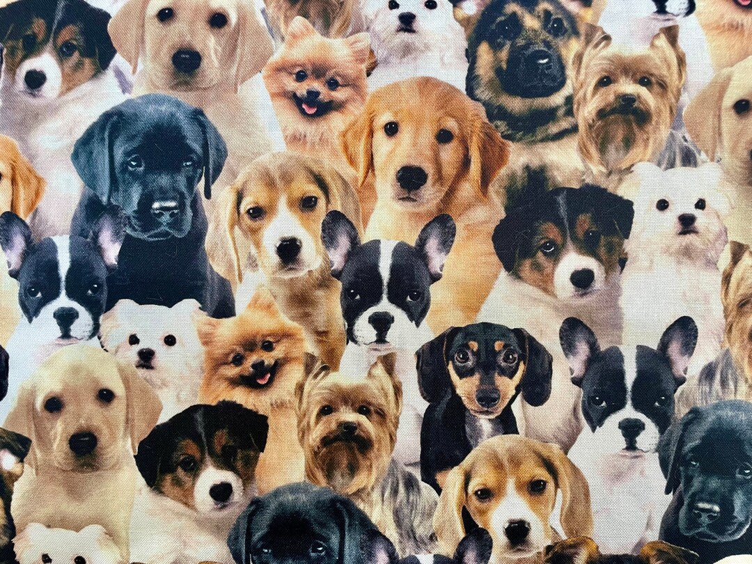 Puppy Fabric by the Yard, Cotton Quilting Fabric, Dogs, Timeless ...