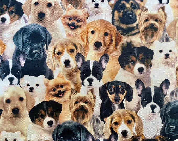 Black Lab Fabric Panel, Labrador Retreiver Dogs, Cotton Quilt Panel ...