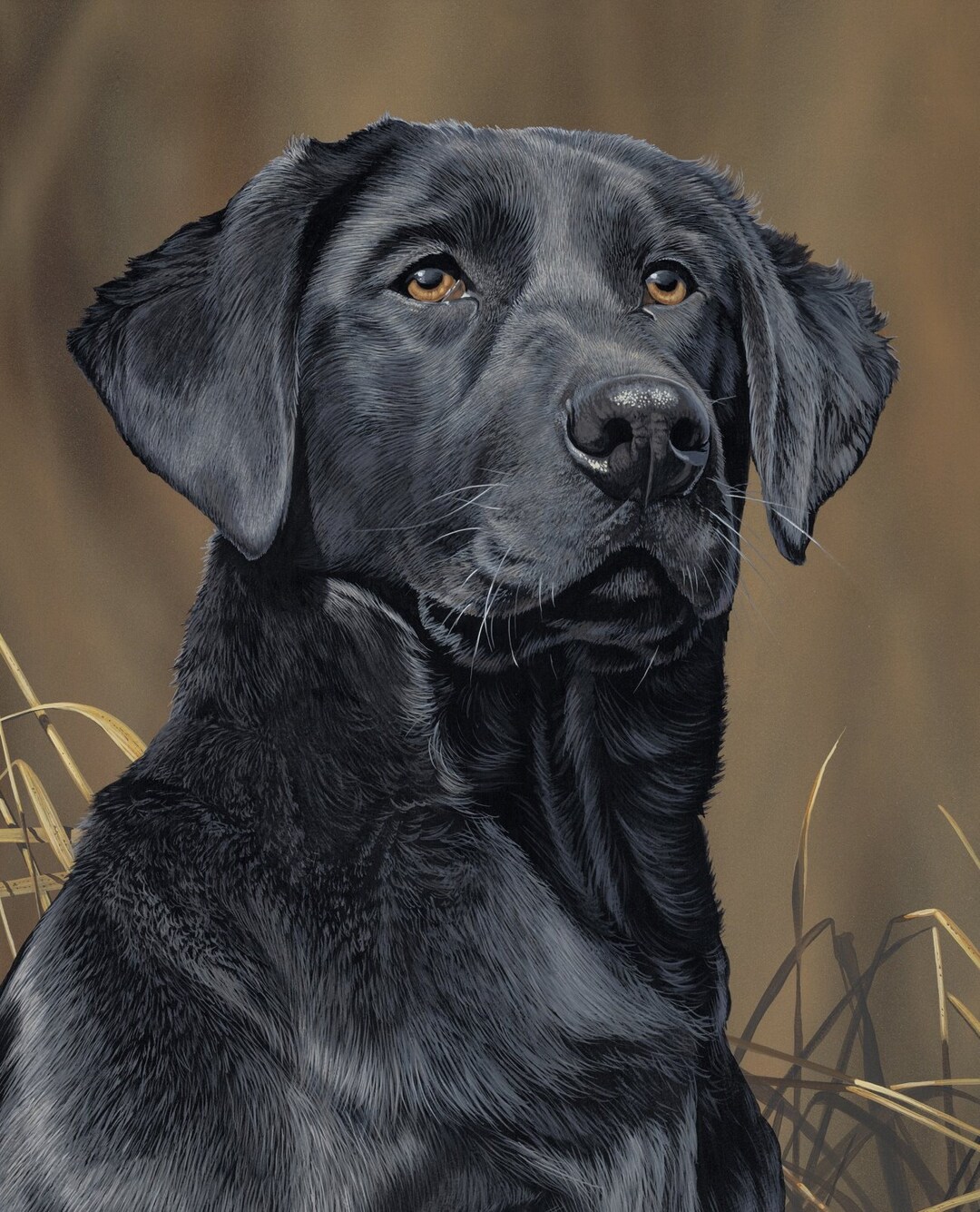 Black Lab Fabric Panel, Labrador Retreiver Dogs, Cotton Quilt Panel ...