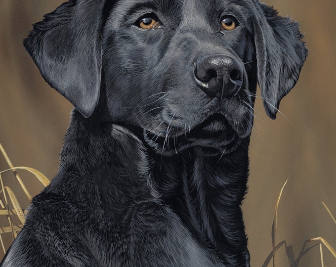 Black Lab Fabric Panel, Labrador Retreiver Dogs, Cotton Quilt Panel ...