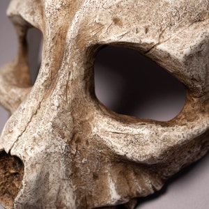 Bat Creature Skull Masquerade Mask Painted or DIY Optional Leather ...