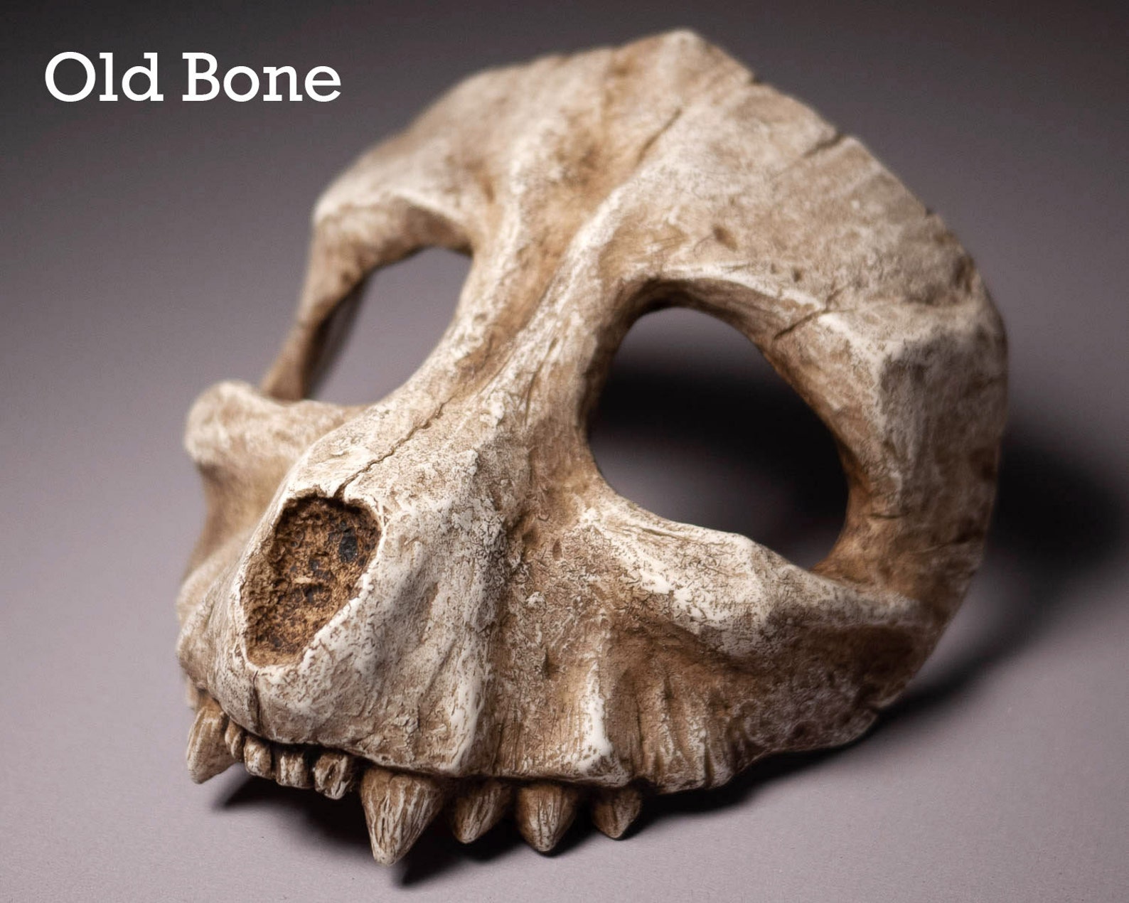 Bat Creature Skull Masquerade Mask Painted or DIY Optional | Etsy