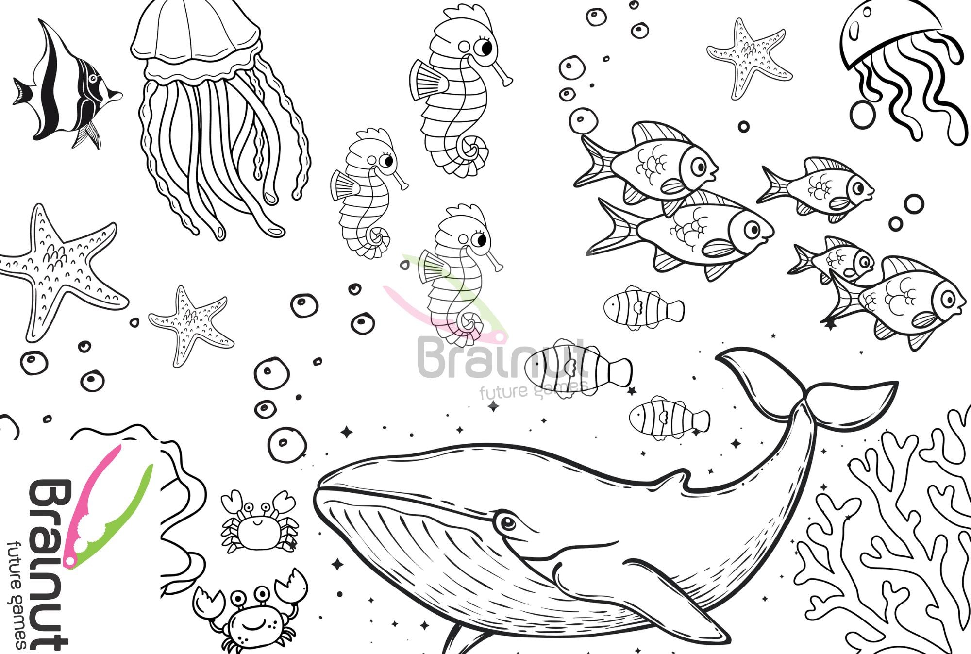 Summer Coloring Pages | Under the Sea Animals | Summer Color Pages ...