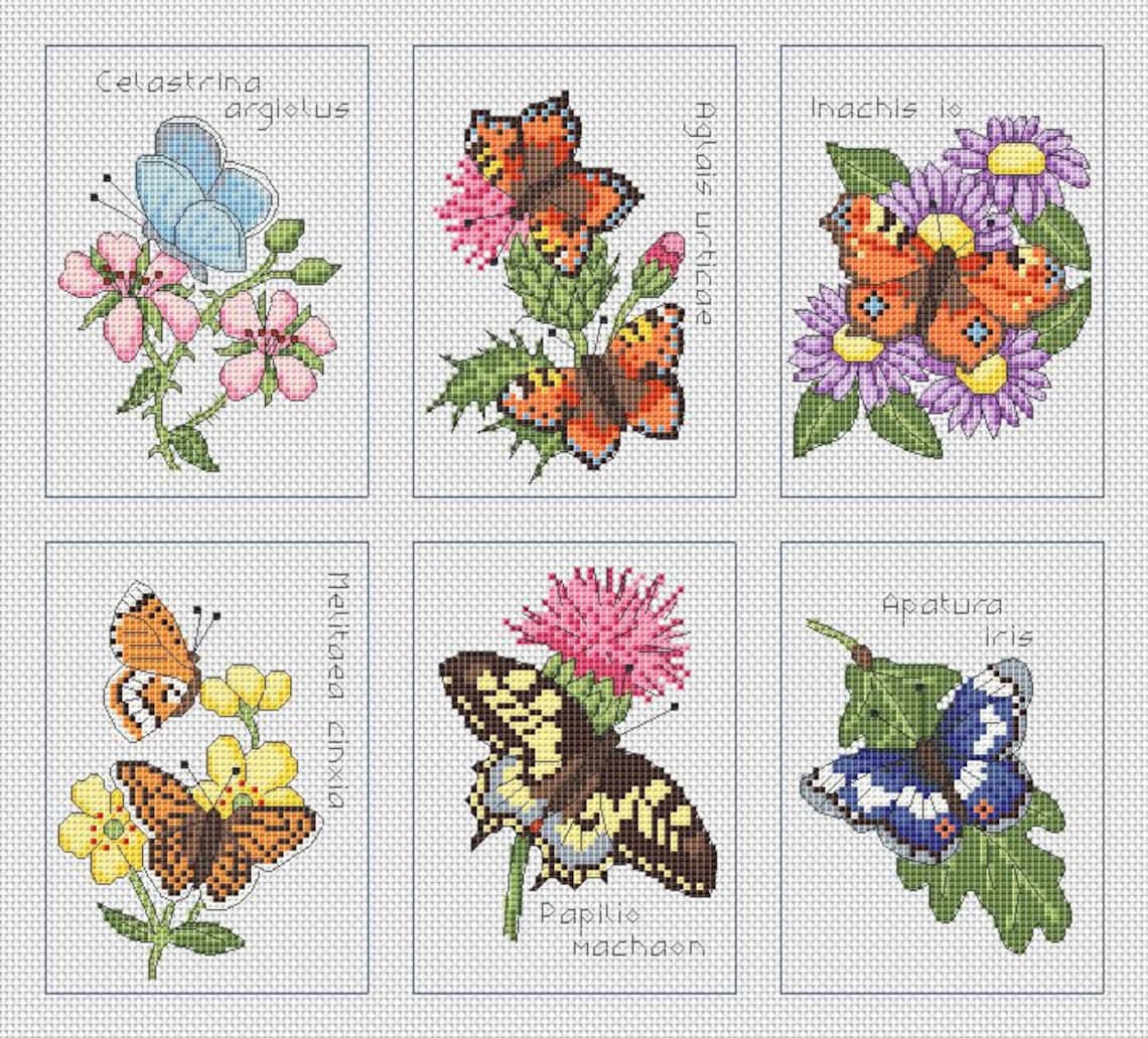 6 Butterfly Cards - Etsy