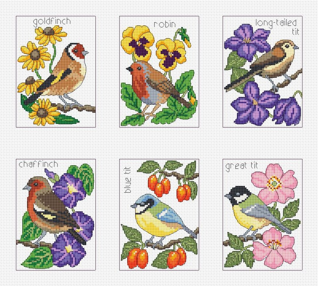 Birds and Flowers Cards Set of 6 - Etsy
