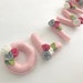 Primrose Pink Felt Name Banner Felt Name Pennant Felt - Etsy