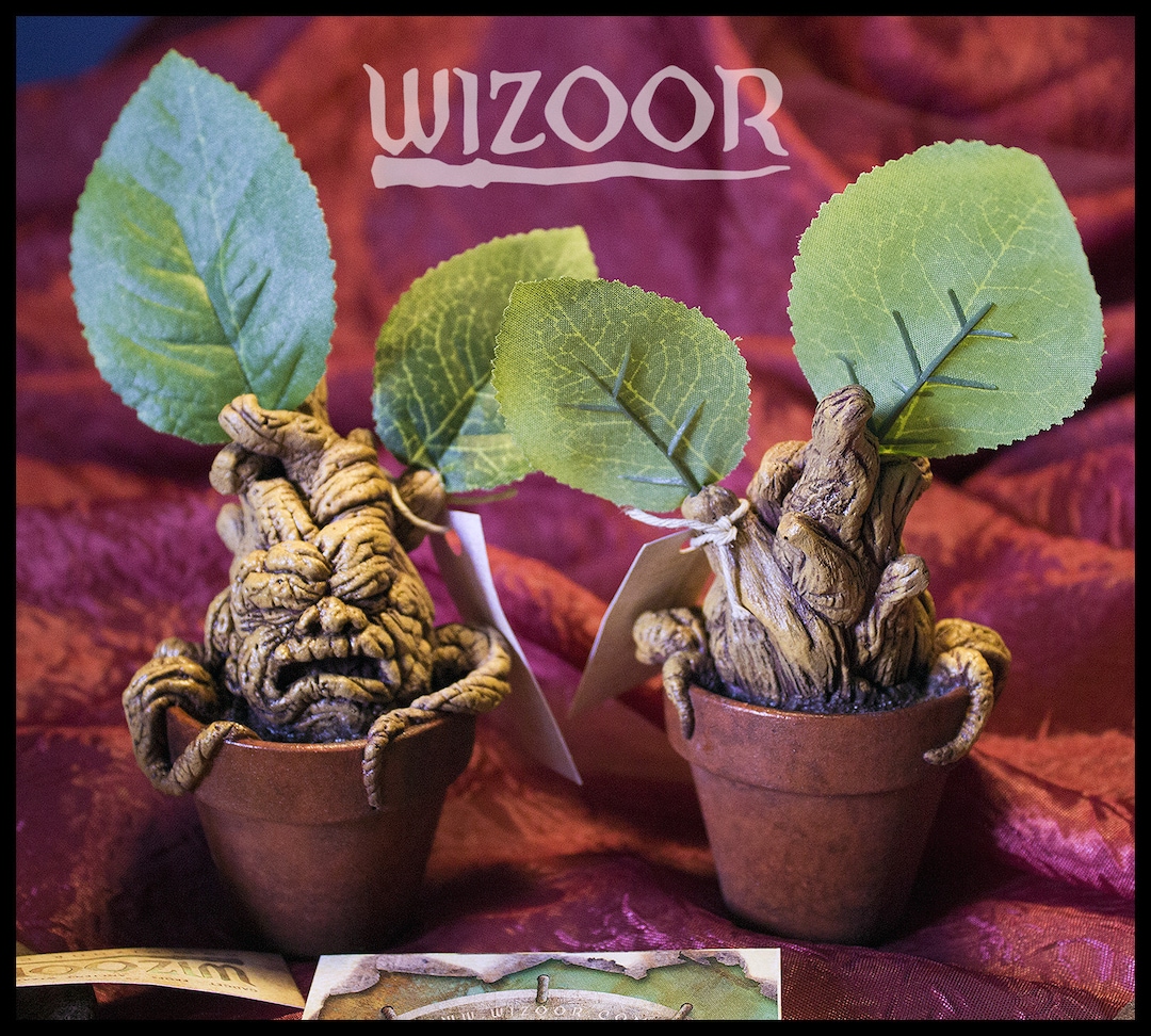 MANDRAKE (mandragora) Harry Potter Inspired By! - Etsy