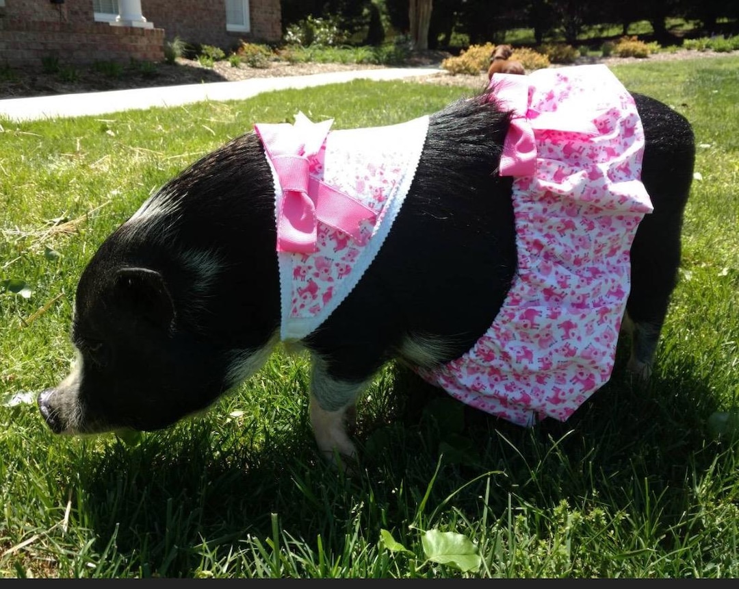 Piggy Print Skirt & Bandana Set, Mini Pig Clothes, Pot Belly Pig ...