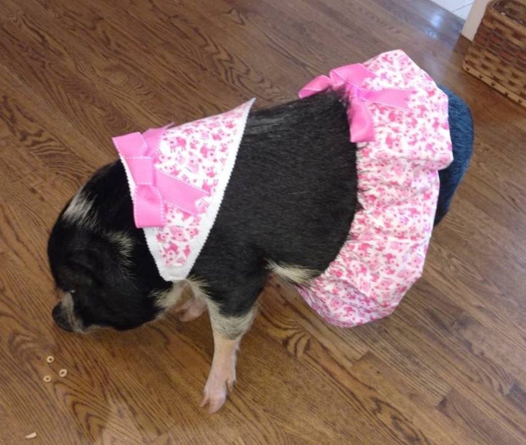 Piggy Print Skirt & Bandana Set, Mini Pig Clothes, Pot Belly Pig ...