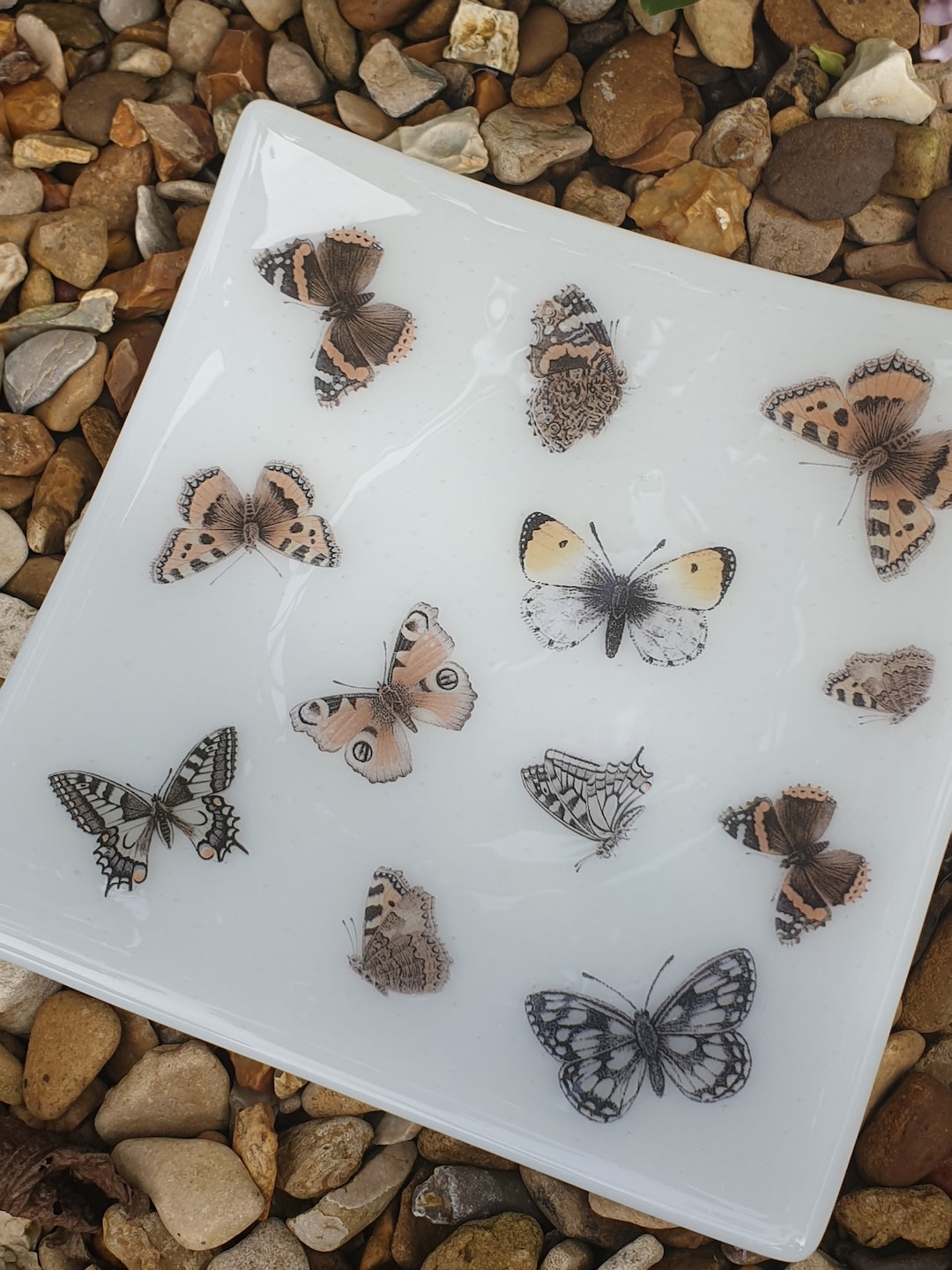 A Large Beautiful Butterflies in White Glass Large Bowl. Wonderful ...