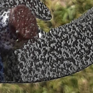 Sea-turtle Hotplate Trivet - Etsy