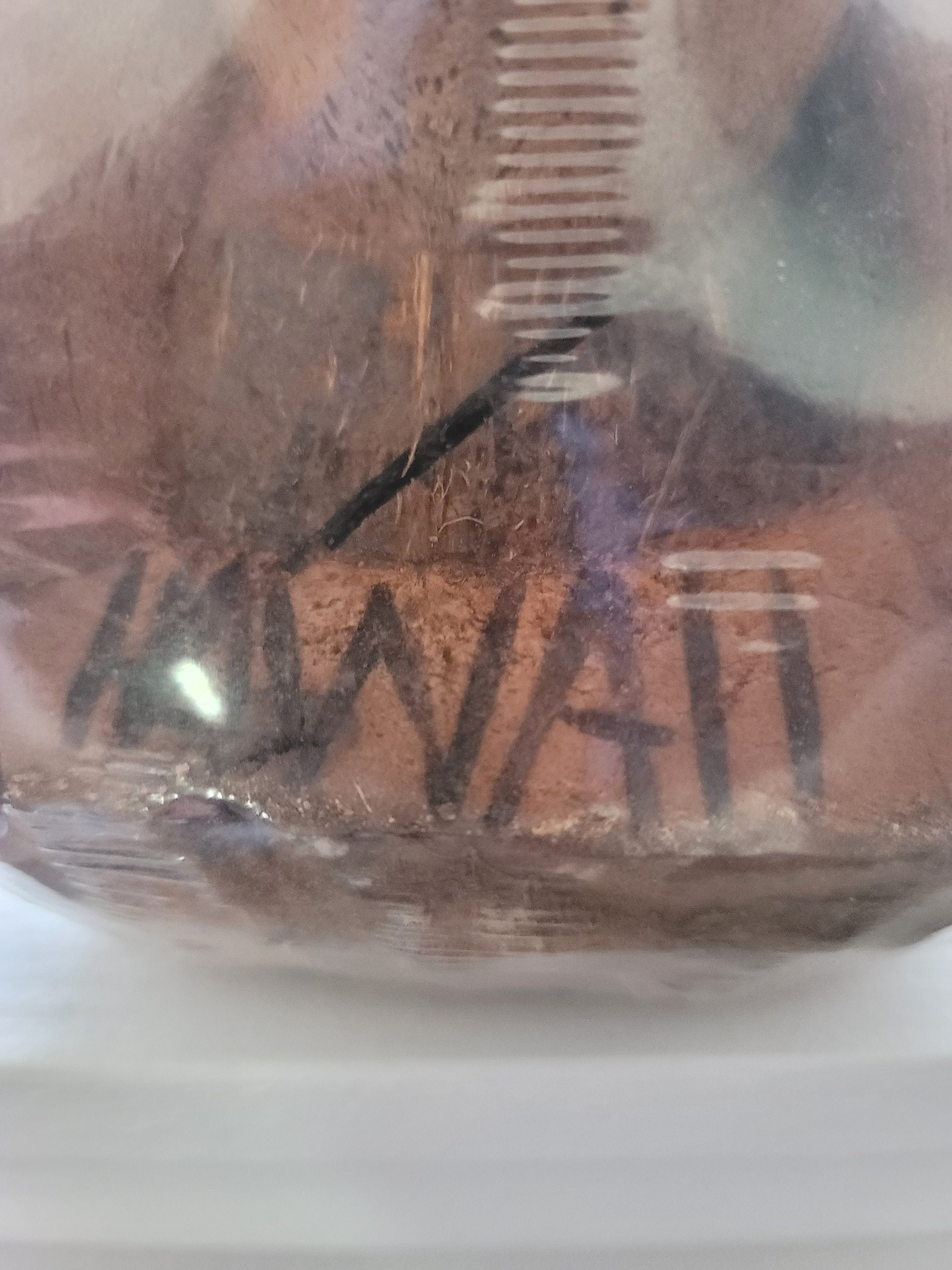 Hand Carved Coconut Monkey Head Tiki Bar/ Primitive Bank Tip Jar - Etsy