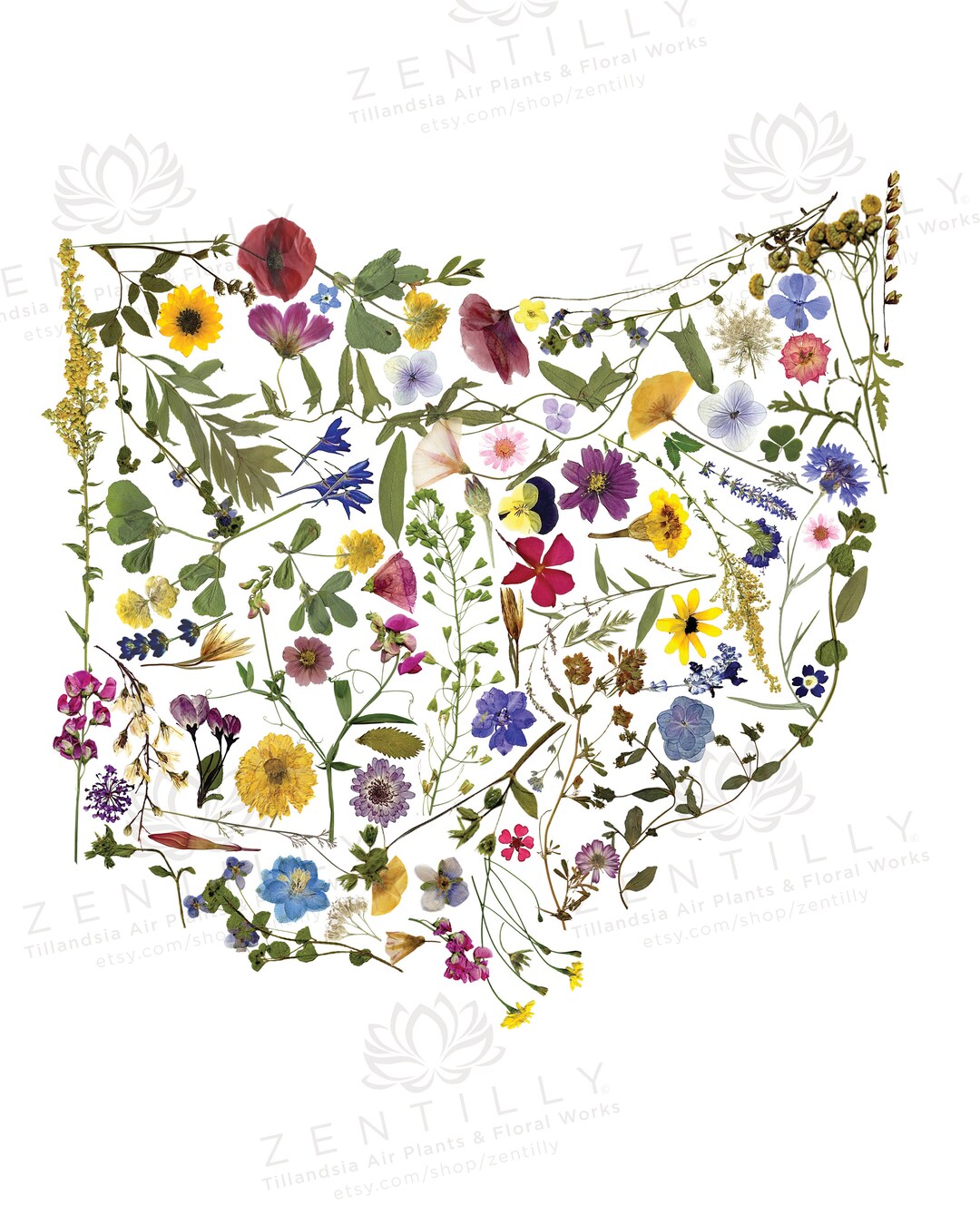 State of Ohio Pressed Floral 8"x10" Art Print by Zentilly® - Etsy