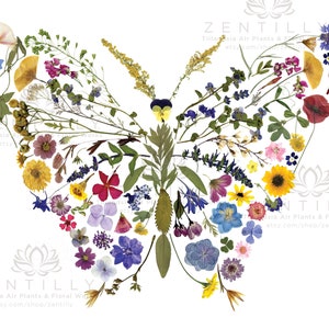 Butterfly Pressed Floral 10"x8" Art Print by Zentilly® - Etsy
