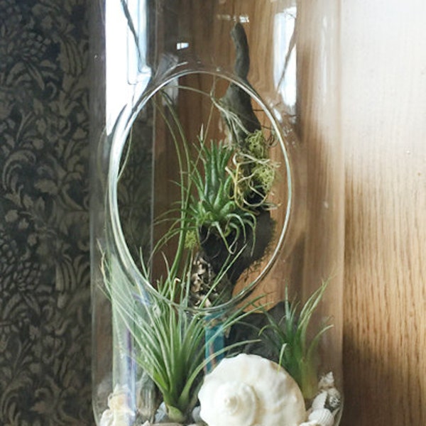 Large Glass Terrarium - Etsy