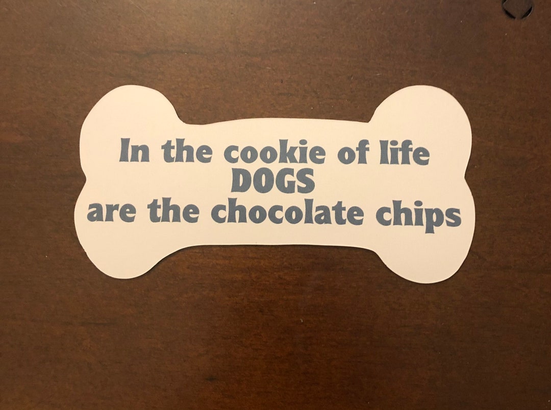 Dog Bone Car Magnet 6x3 Free Shipping - Etsy