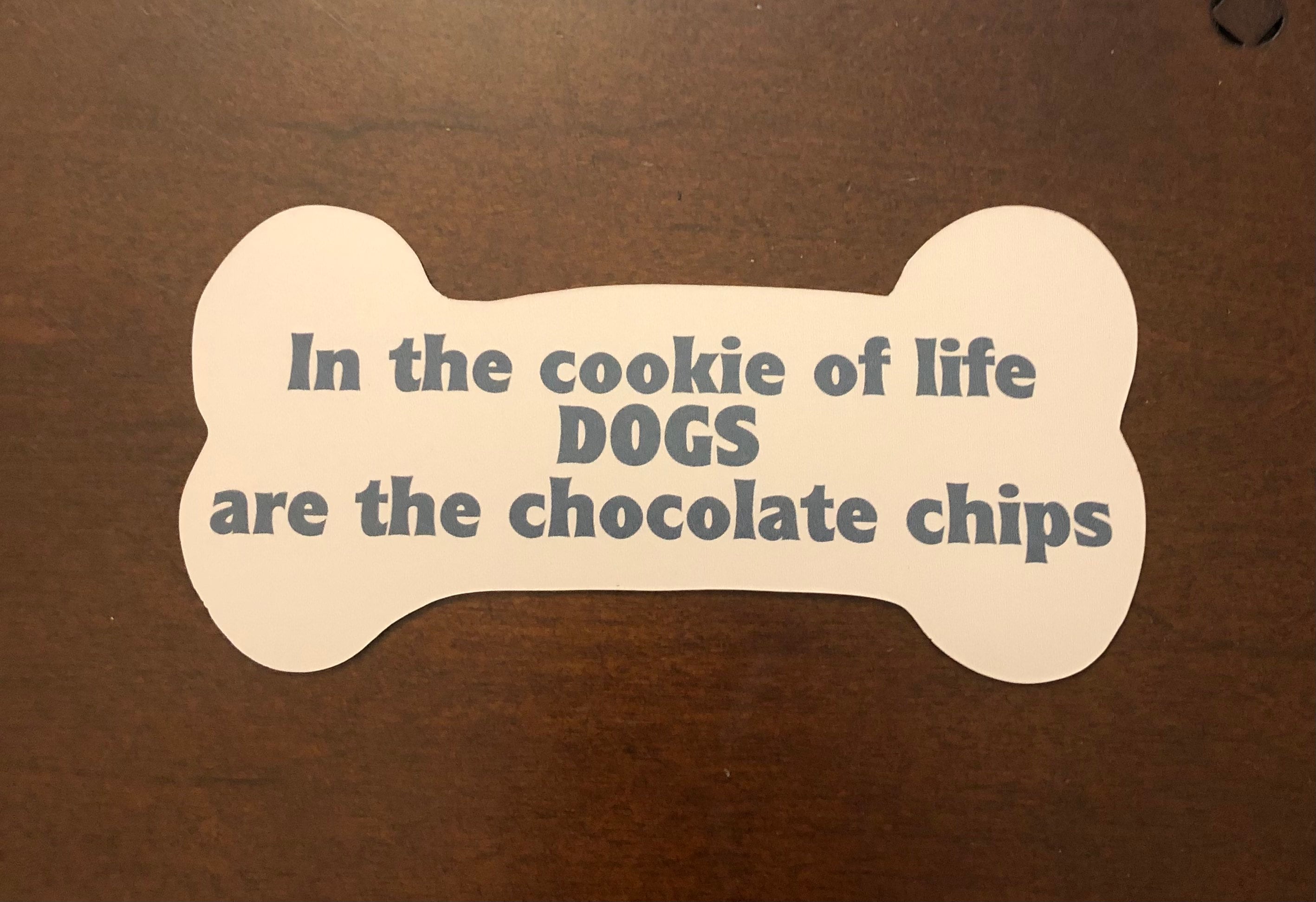 Dog Bone Car Magnet 6x3 Free Shipping | Etsy