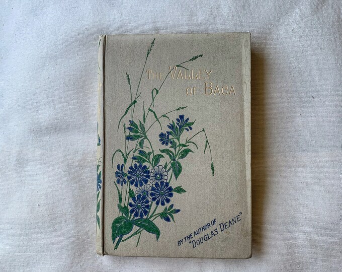 Vintage 1880s Victorian the Valley of Baca Book - Etsy