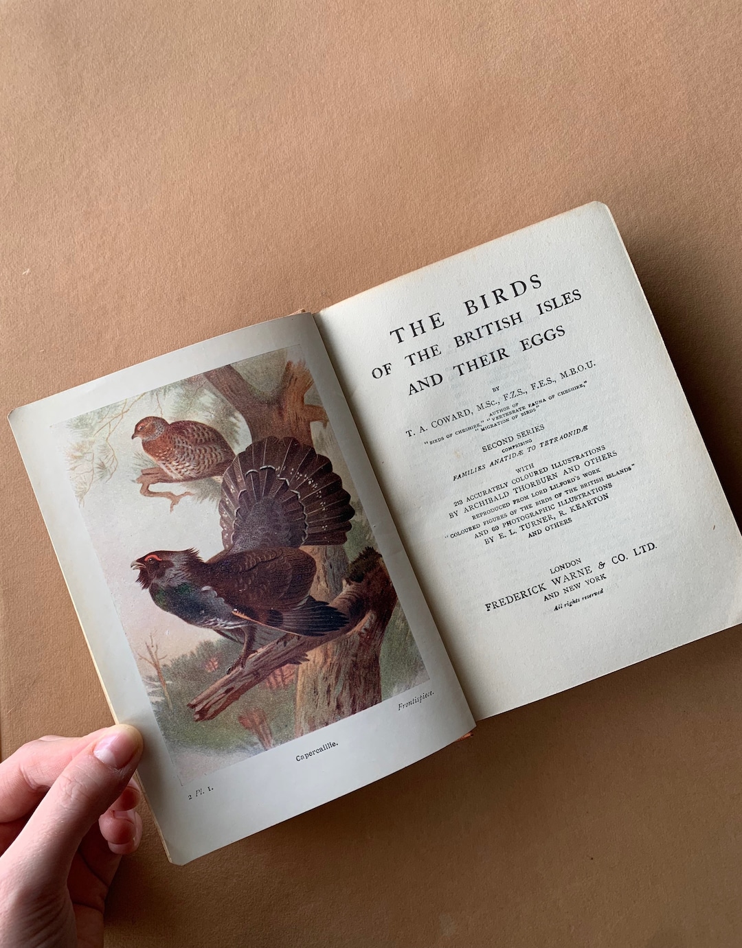 Vintage 1947 the Birds of the British Isles and Their Eggs by T.A ...