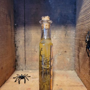 Vintage Witches Potion hemlock Root Halloween Decor - Etsy