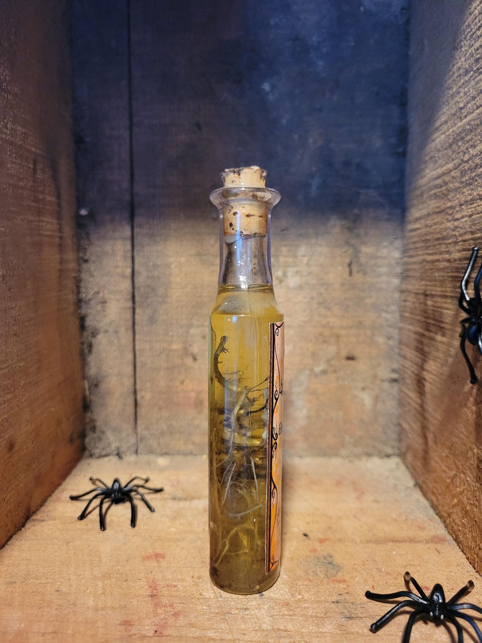 Vintage Witches Potion hemlock Root Halloween Decor - Etsy