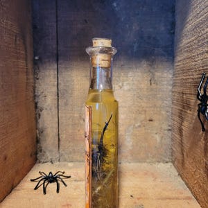 Vintage Witches Potion hemlock Root Halloween Decor - Etsy