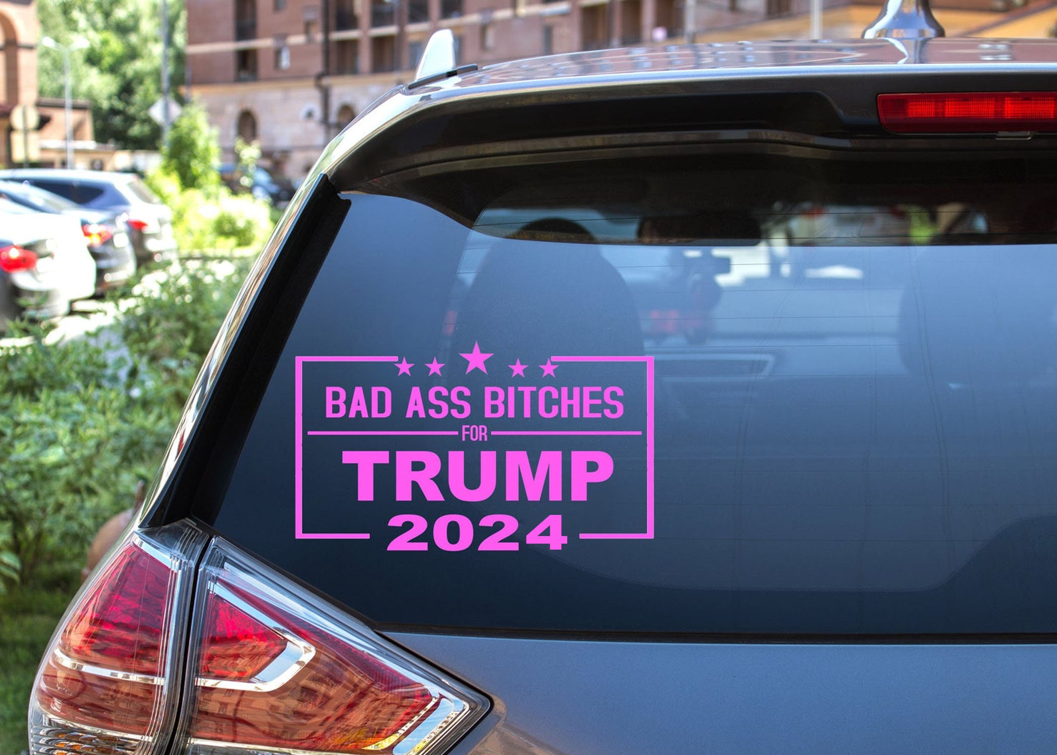 Bad Ass Bitch Stickers - Etsy