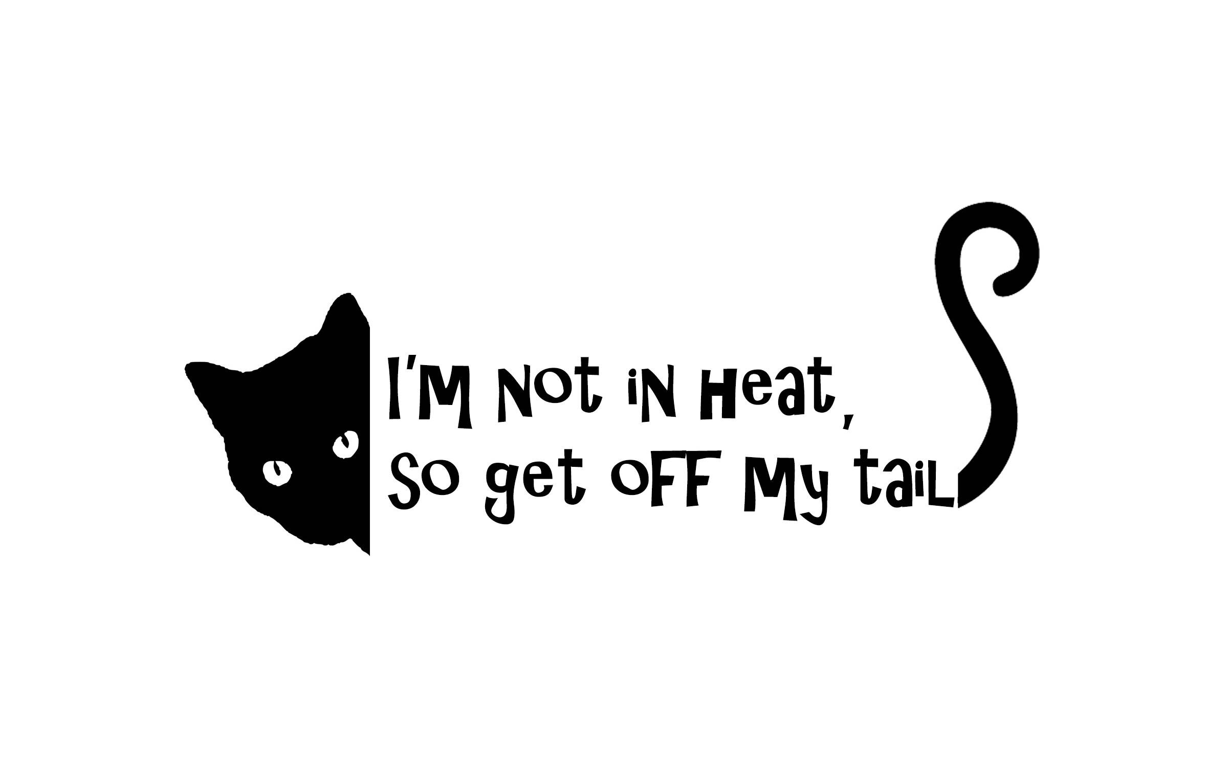 Get off My Tail CAT Vinyl Decal - Etsy