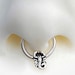 Scorpion Septum, Scorpion Septum Hoop, Scorpion Septum Ring, Bug Septum ...