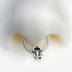 Scorpion Septum, Scorpion Septum Hoop, Scorpion Septum Ring, Bug Septum ...