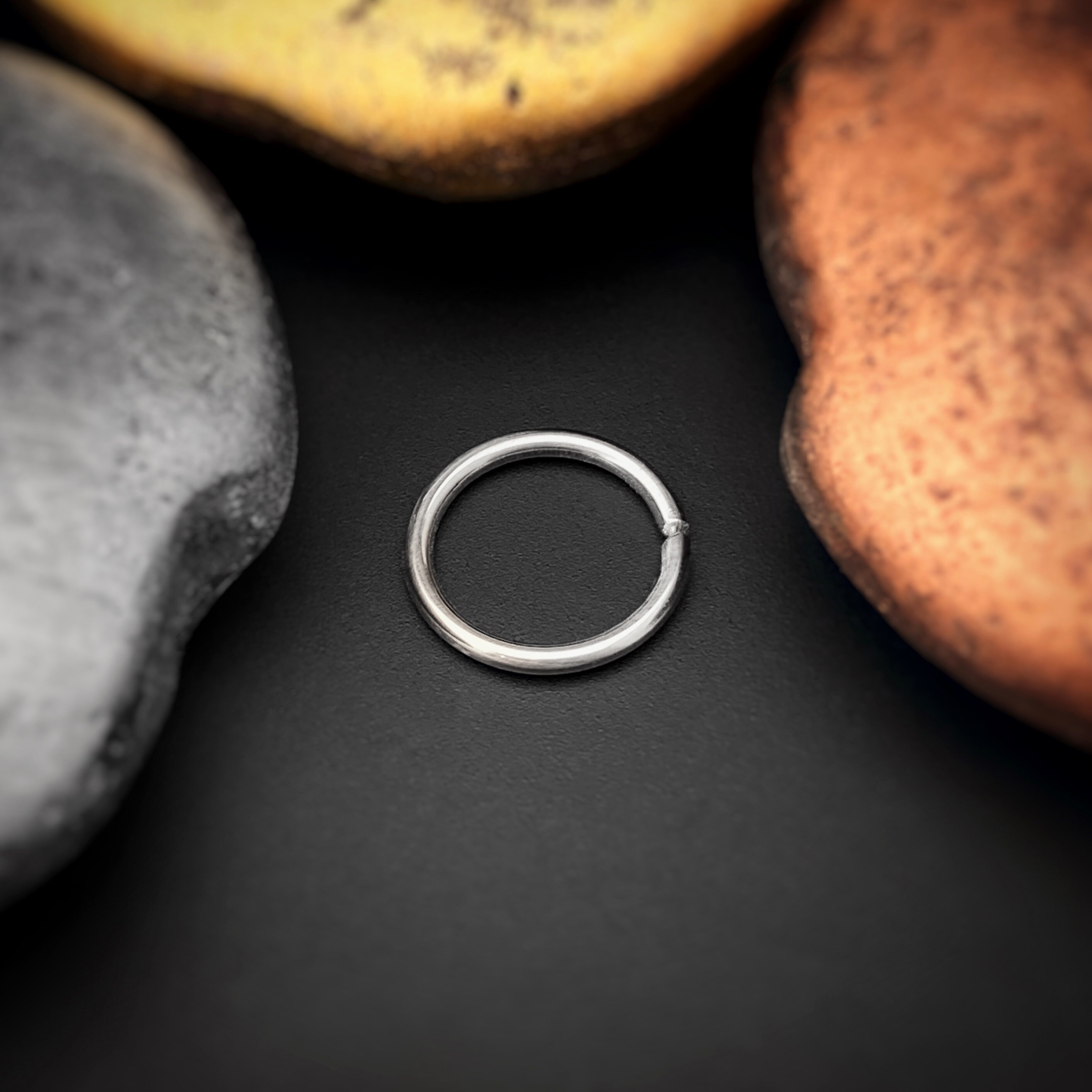 Silver Titanium Nose Ring Titanium Septum Septum Hoop | Etsy