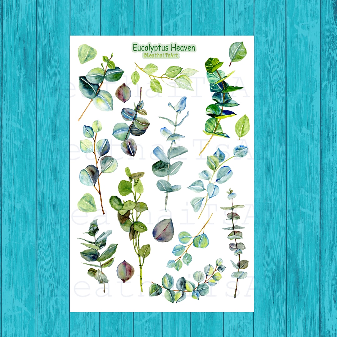 Watercolor Eucalyptus Stickers Sheet Eucalyptus Leaves Stickers ...