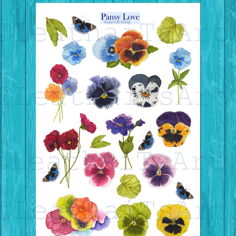 Pansy Decals - Etsy