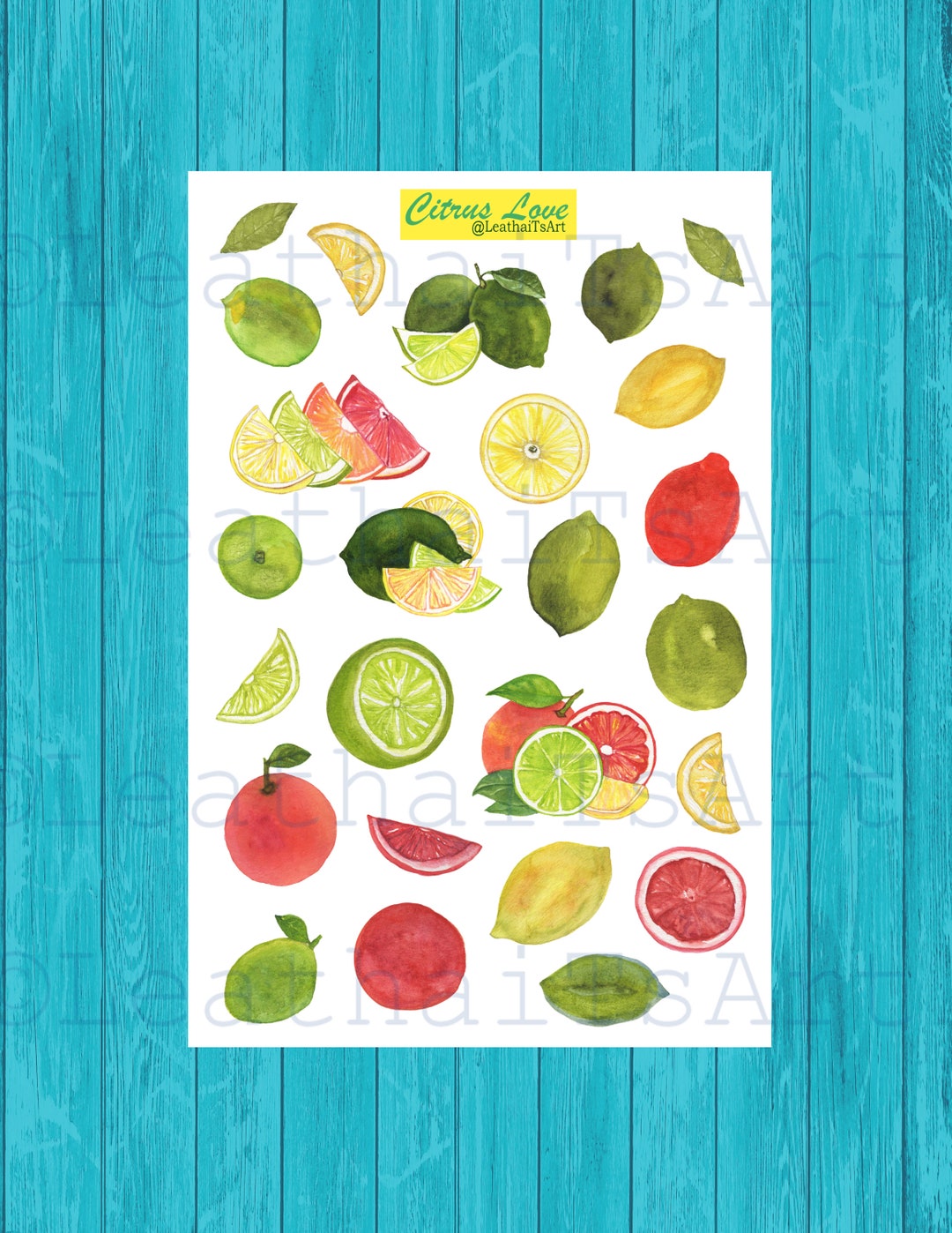 Citrus Fruit Stickers Watercolor Citrus Fruit Stickers Citrus Fruit ...
