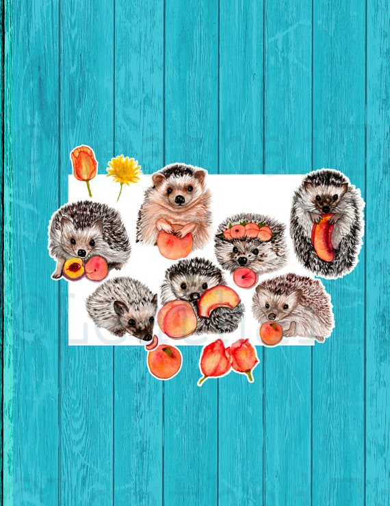 Hedgehogs Sticker Pack Weatherproof Water Resistant Hedgehogs - Etsy