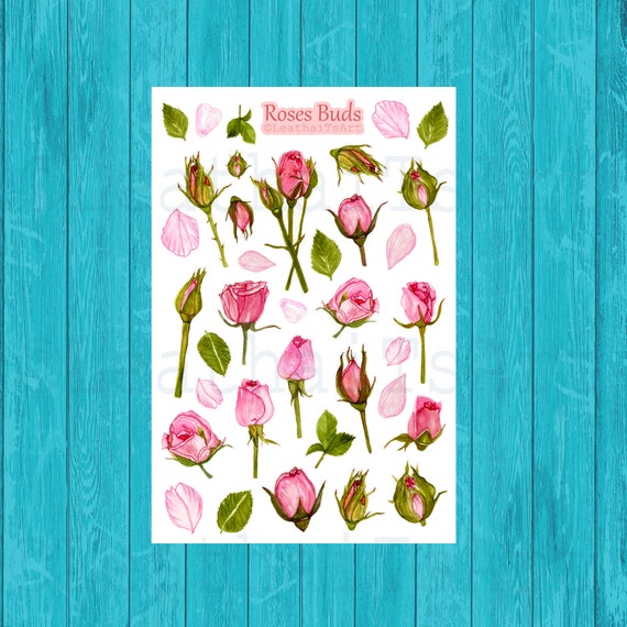 Pink Roses Stickers Rosebuds Sticker Sheet Rosebud Stickers - Etsy