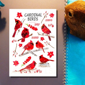 Cardinal Bird Stickers Red Cardinal Bird Stickers Seasonal Bird ...