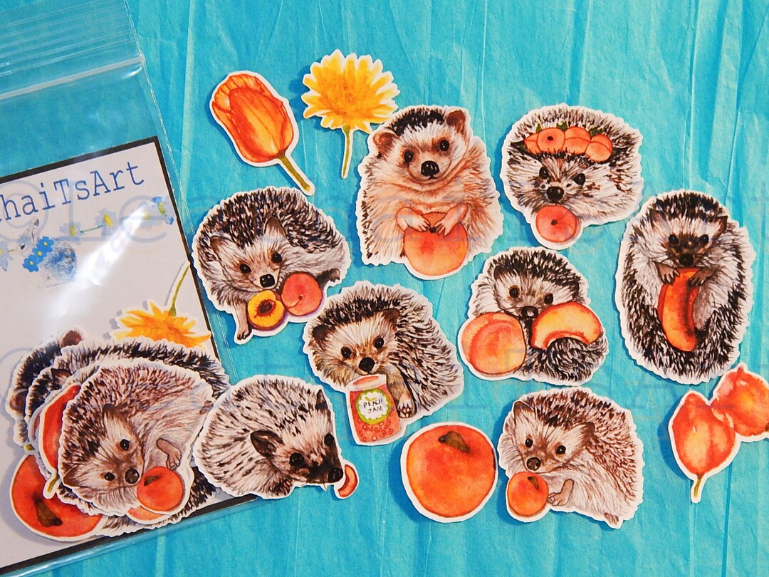 Hedgehogs Sticker Pack Weatherproof Water Resistant Hedgehogs Stickers ...
