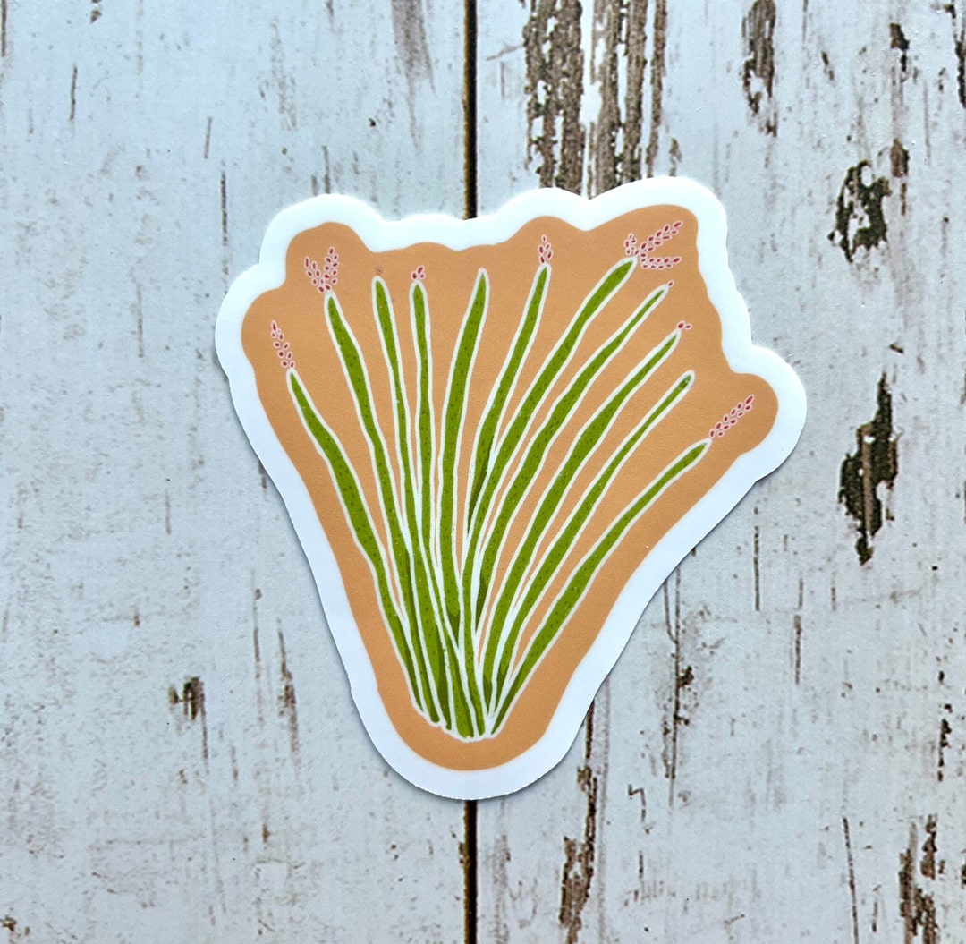 Matte Sticker, Desert Plants, Ocotillo - Etsy