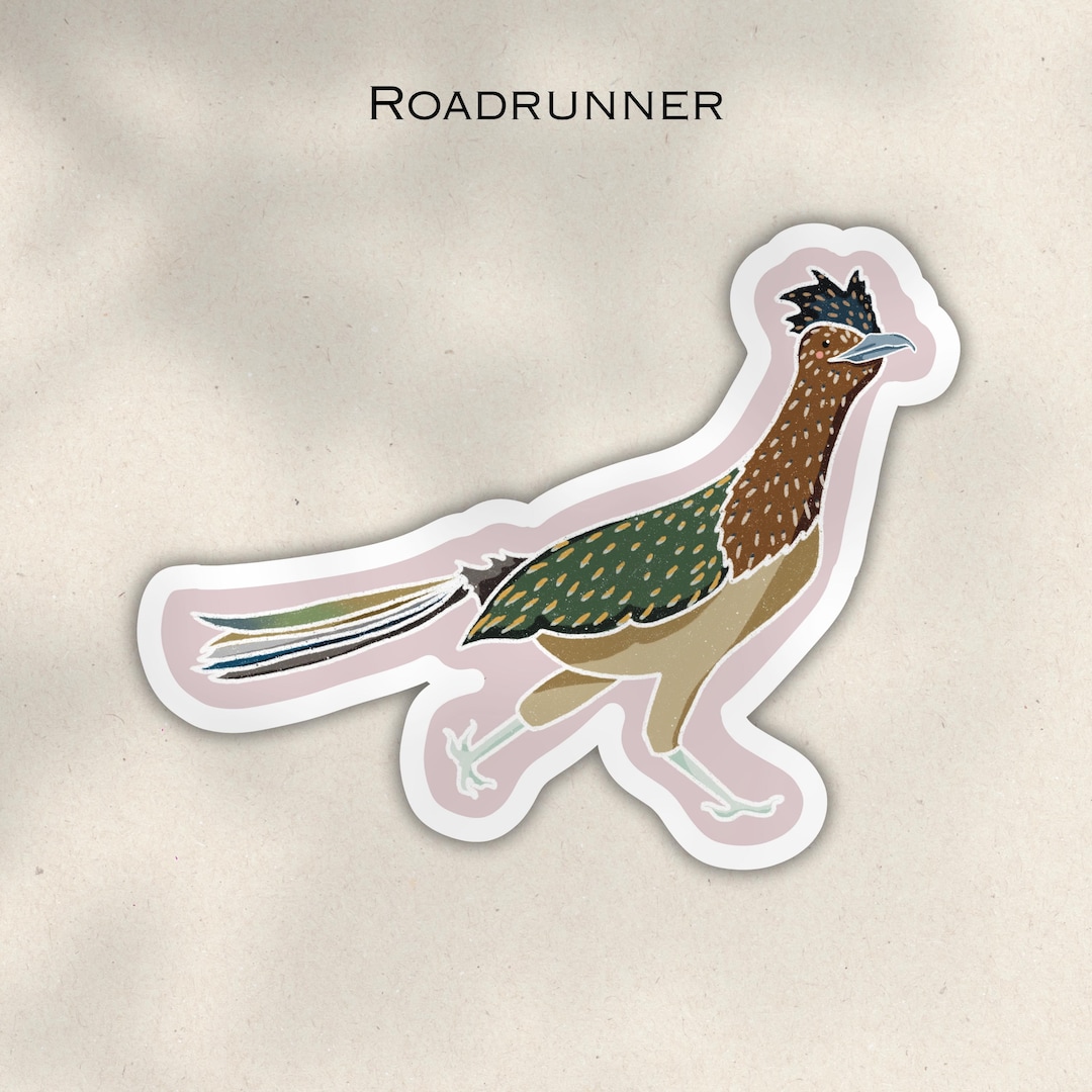 Road Runner Sticker - Cute Desert Animal Vinyl Art - Etsy