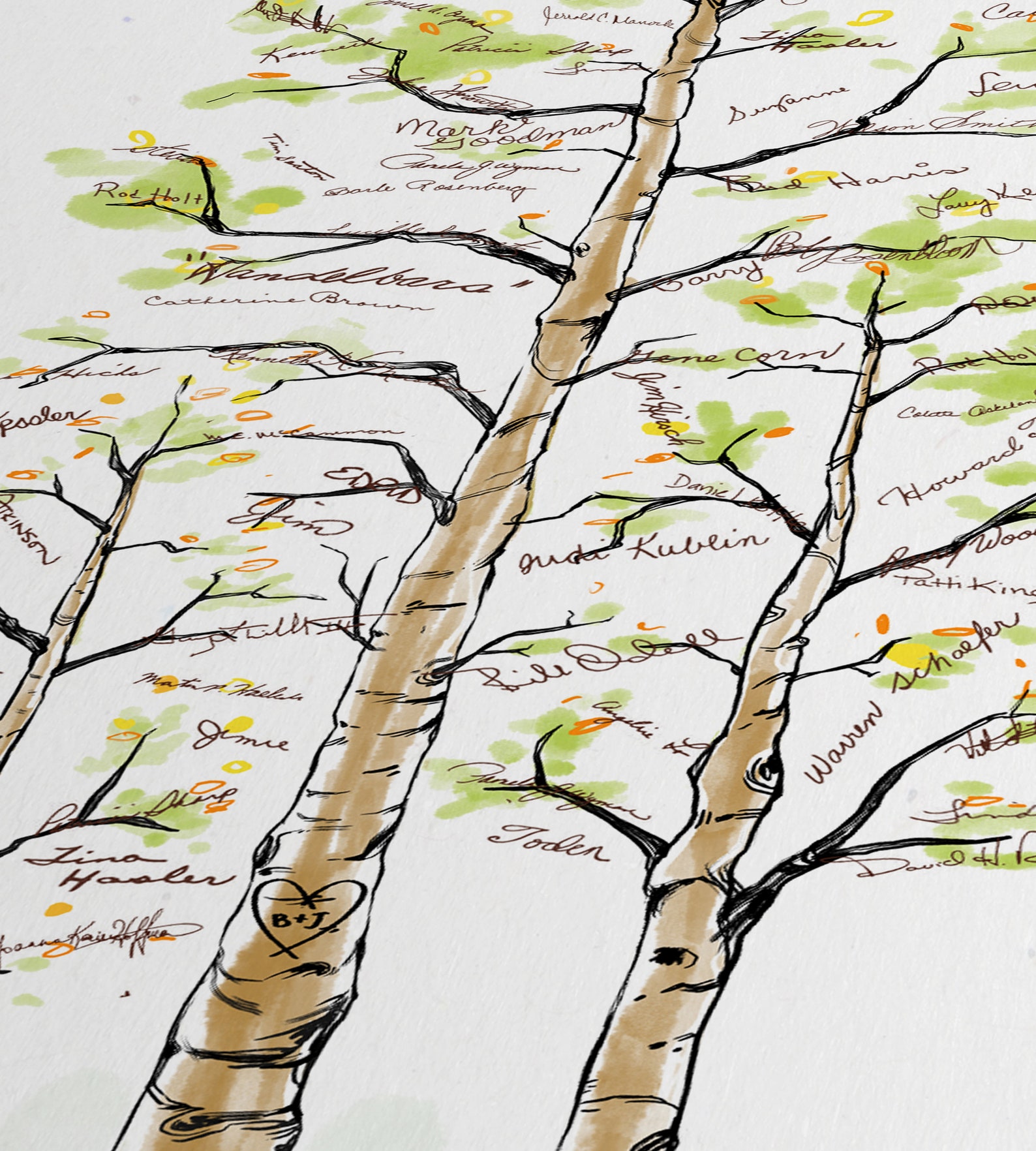 Signature Tree Guest Book Timeless Birch Wedding Guestbook - Etsy