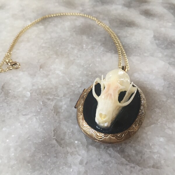 Skull Locket - Etsy