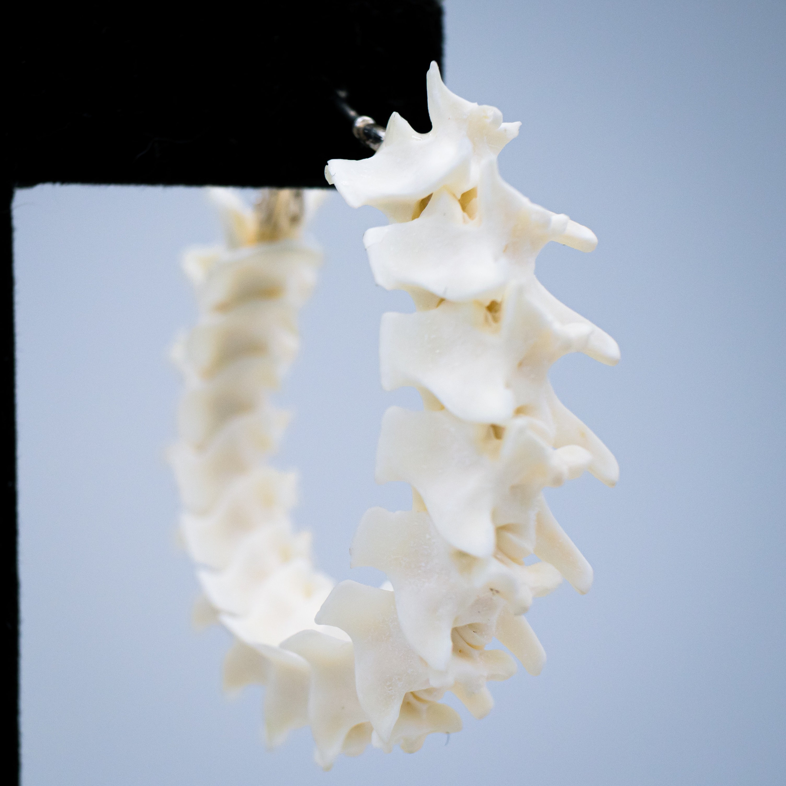 Python Vertebrae Hoop Earrings - Etsy