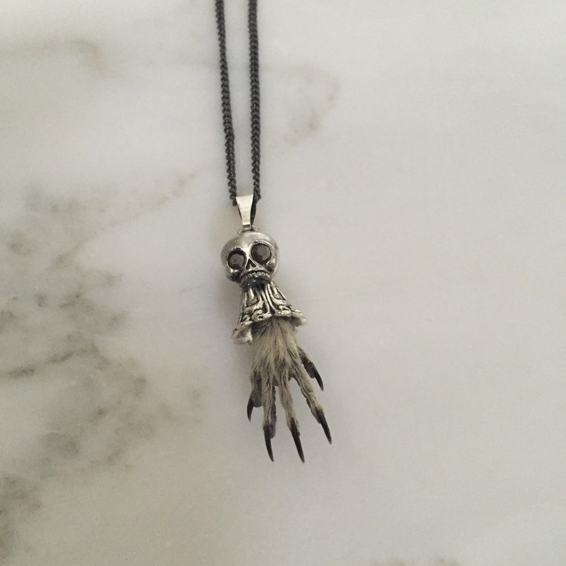 Gothic Taxidermy Ground Squirrel Paw - Etsy
